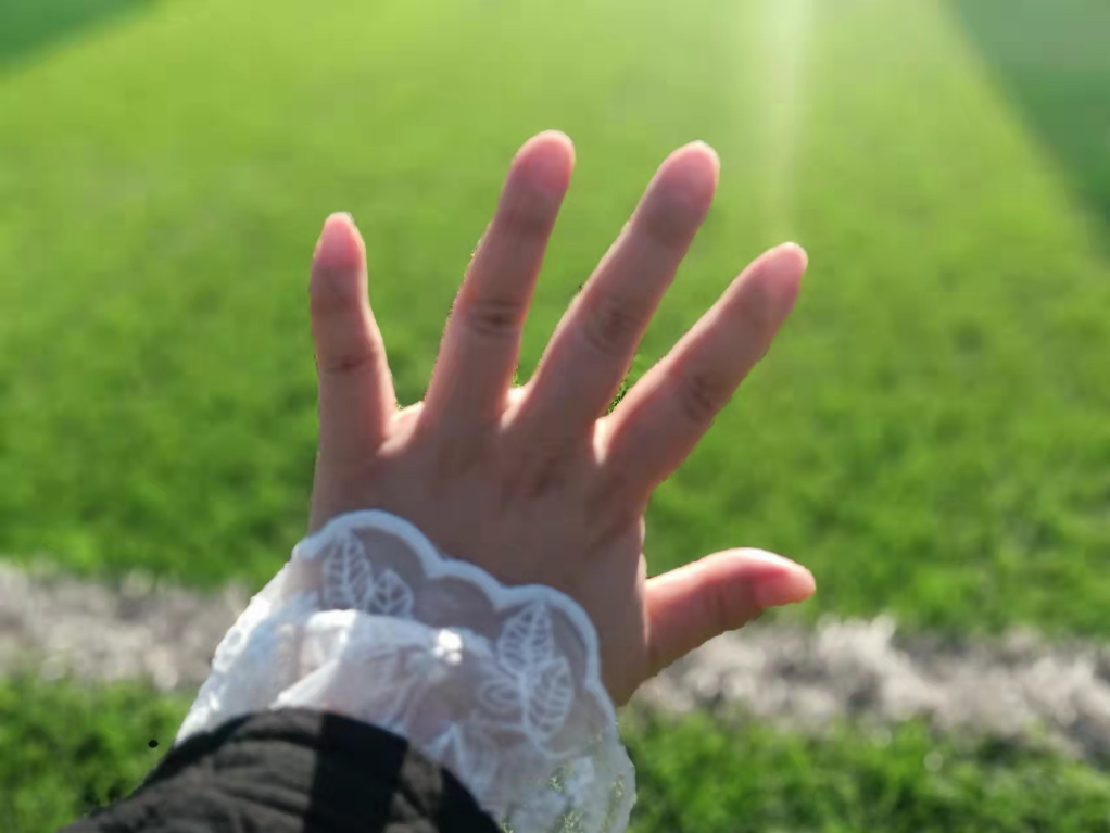 夏草2_hyy糖化了-站酷ZCOOL