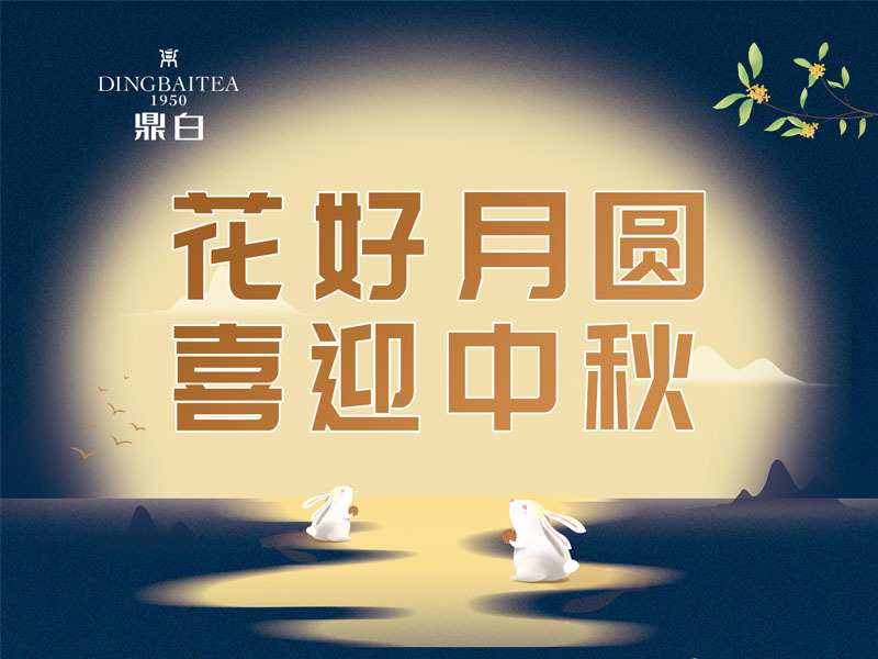 商稿（9-10月）_柳先生啊-站酷ZCOOL