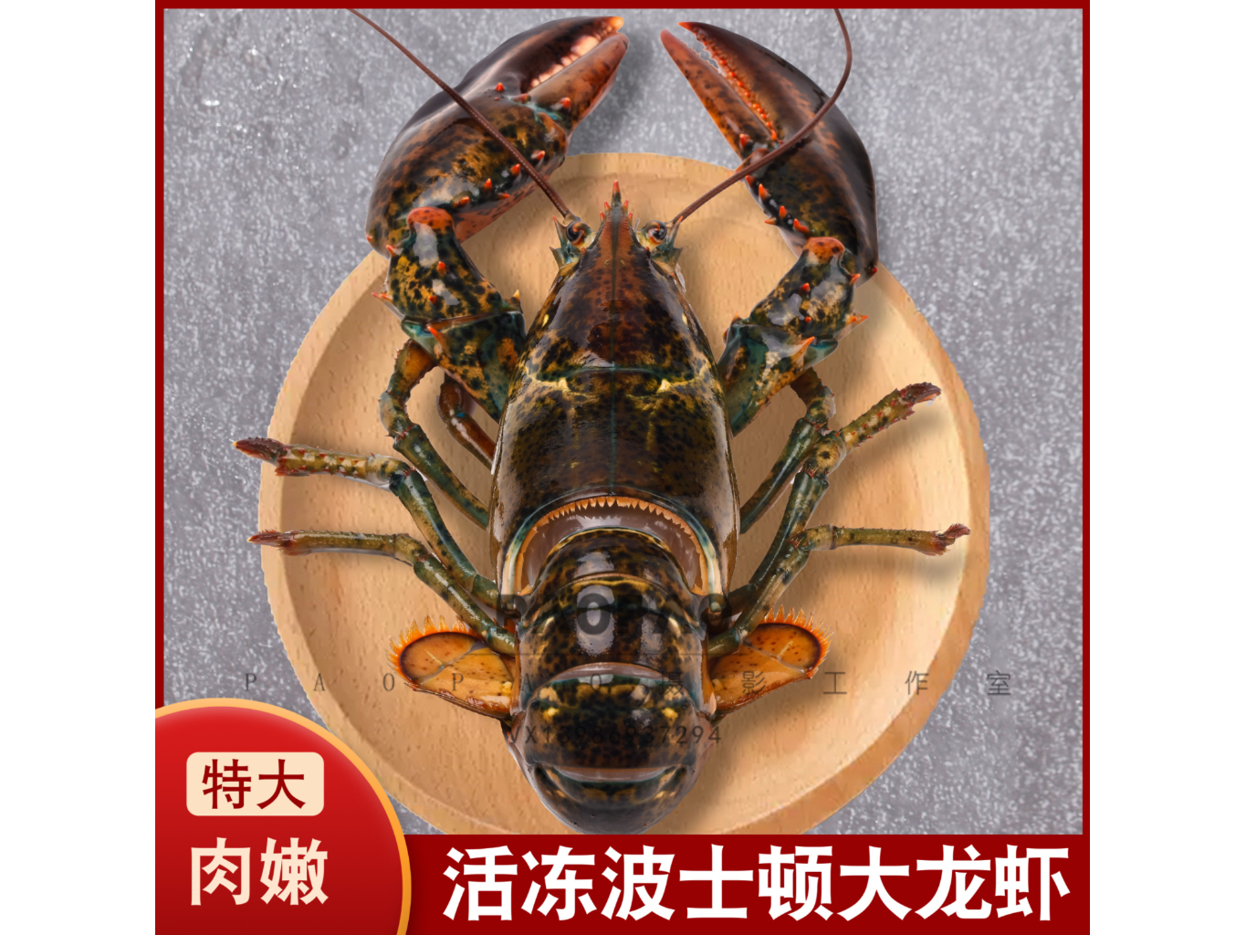 波士顿大龙虾图片，详情，视频全套高清素材可商用_PAOPAO摄影工作室-站酷ZCOOL