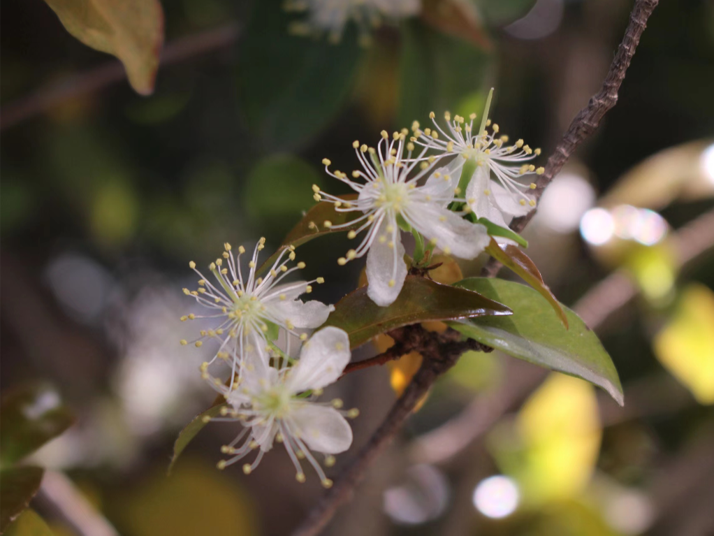 五一小长假-植物园2_panxy420-站酷ZCOOL