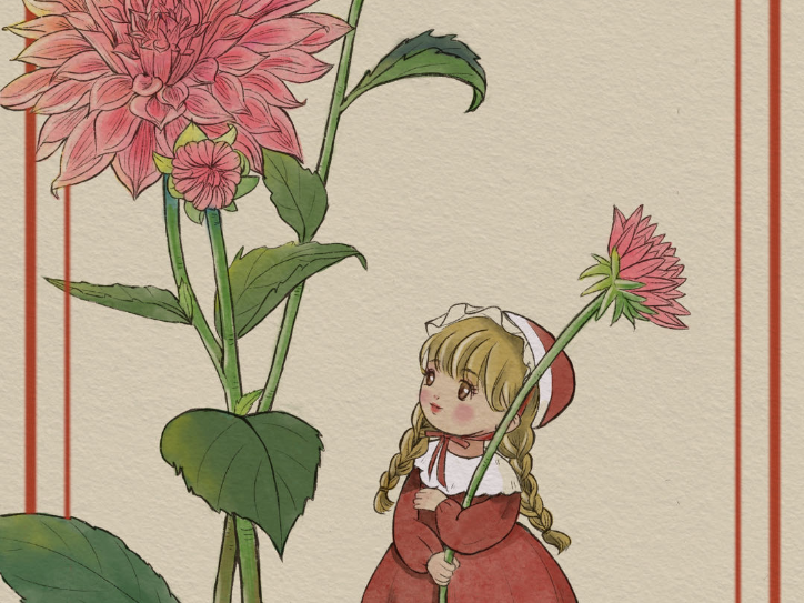 大丽花_ziggy插画-站酷ZCOOL