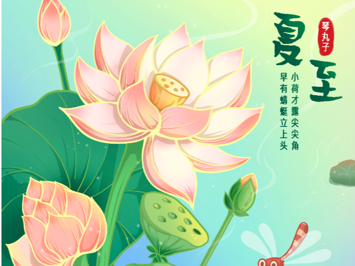 24节气系列海报之-《夏至》_阿榛-站酷ZCOOL