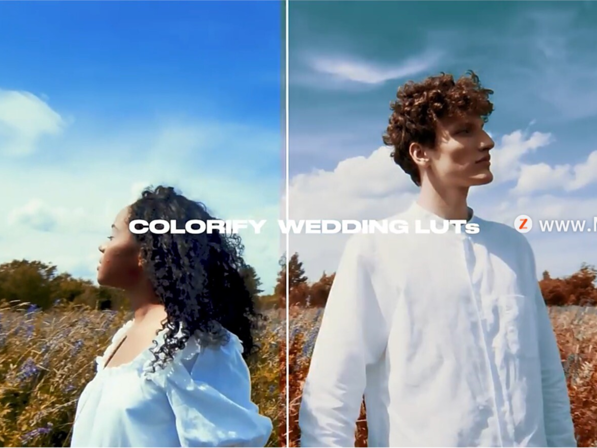 100种欧美婚礼调色LUTs预设Colorify Wedding LUTs_醉舞千年杯莫停-站酷ZCOOL