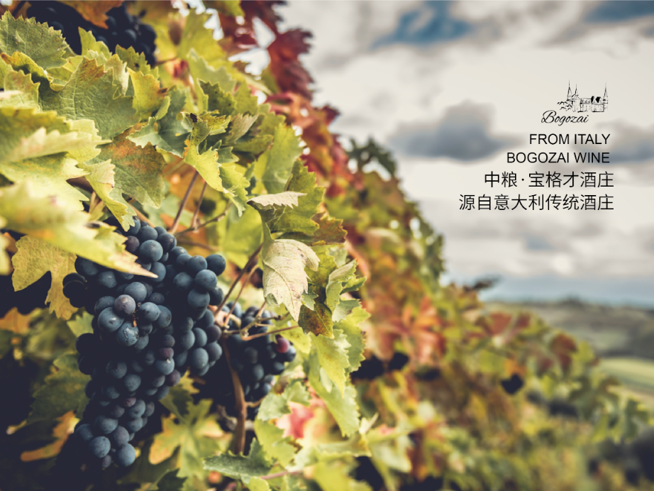 【手册】产品画册_韩欧文-站酷ZCOOL