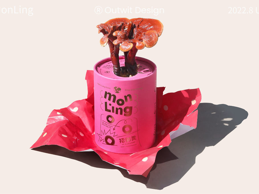 设计分享/招财灵MonLing _BranD杂志-站酷ZCOOL