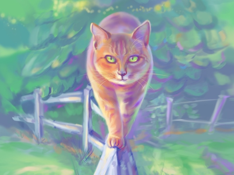 比亚迪车机主题壁纸设计-入围奖_嗡嗡小猫-站酷ZCOOL