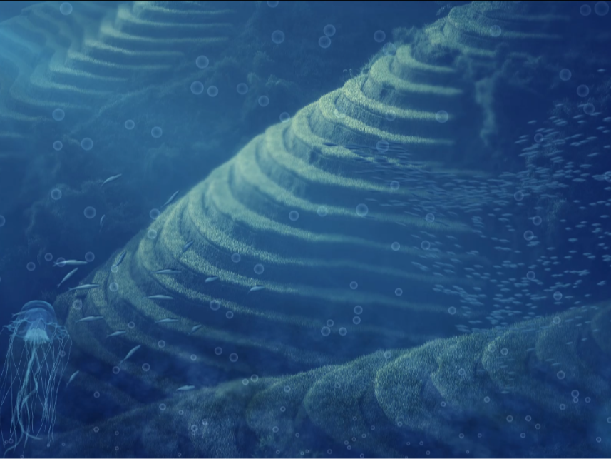 AE作品1_我叫大大芝27-站酷ZCOOL