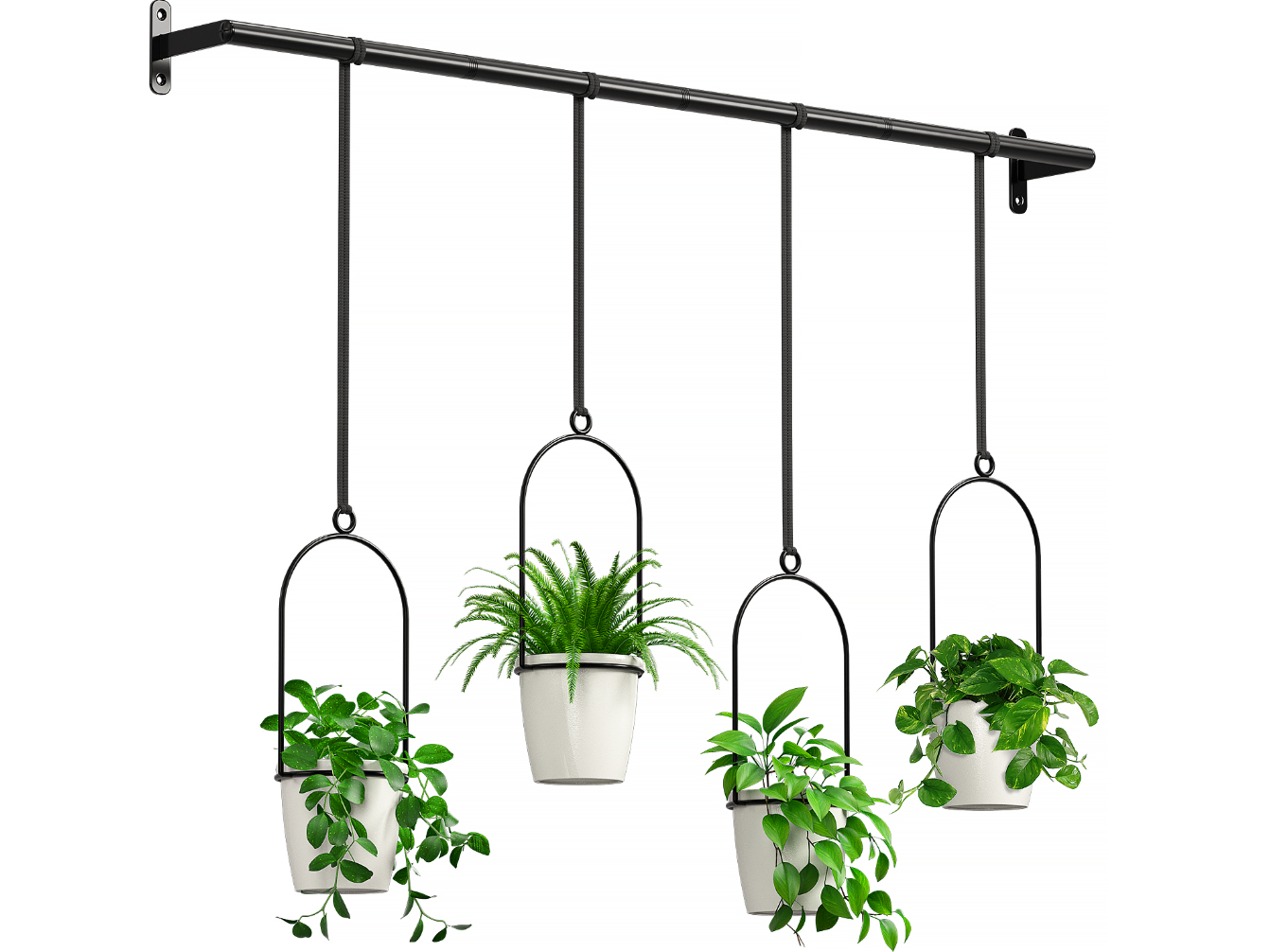 圆弧吊篮_Mr_Tim-站酷ZCOOL