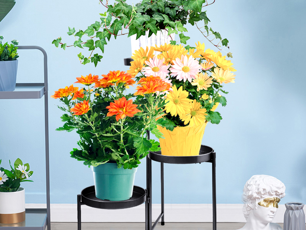 3层花架_Erin0125-站酷ZCOOL