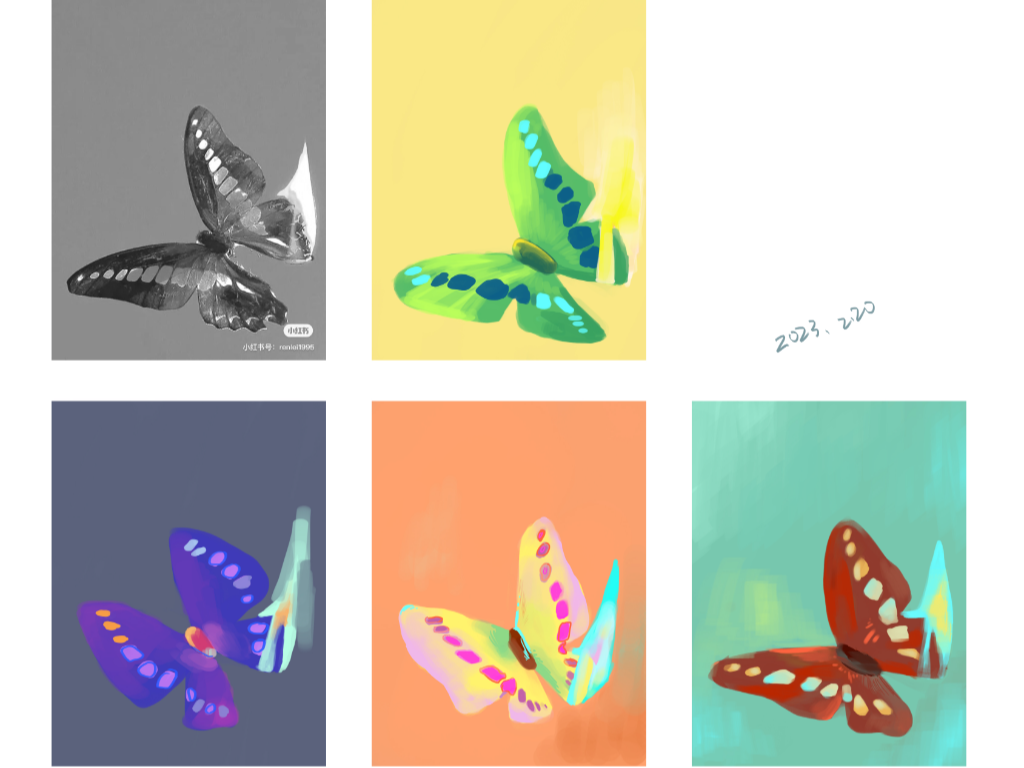 色彩派对30天day2_bulubabu-站酷ZCOOL