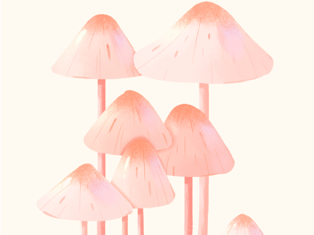 2023插画练习_快点去学习了-站酷ZCOOL