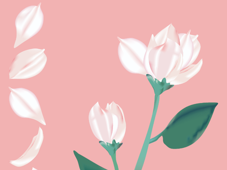 CorelDRAW软件的网状填充工具的使用_阿丹地-站酷ZCOOL