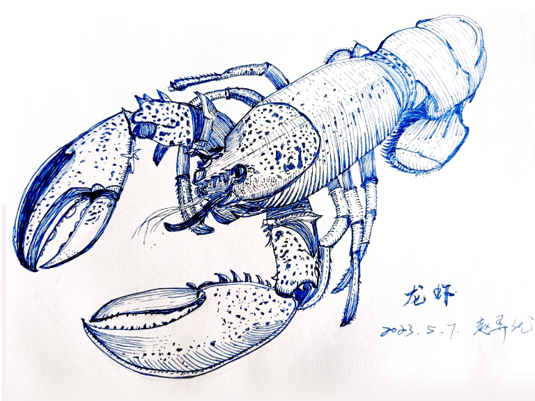 画渣日常·每日一练_独居匠心-站酷ZCOOL