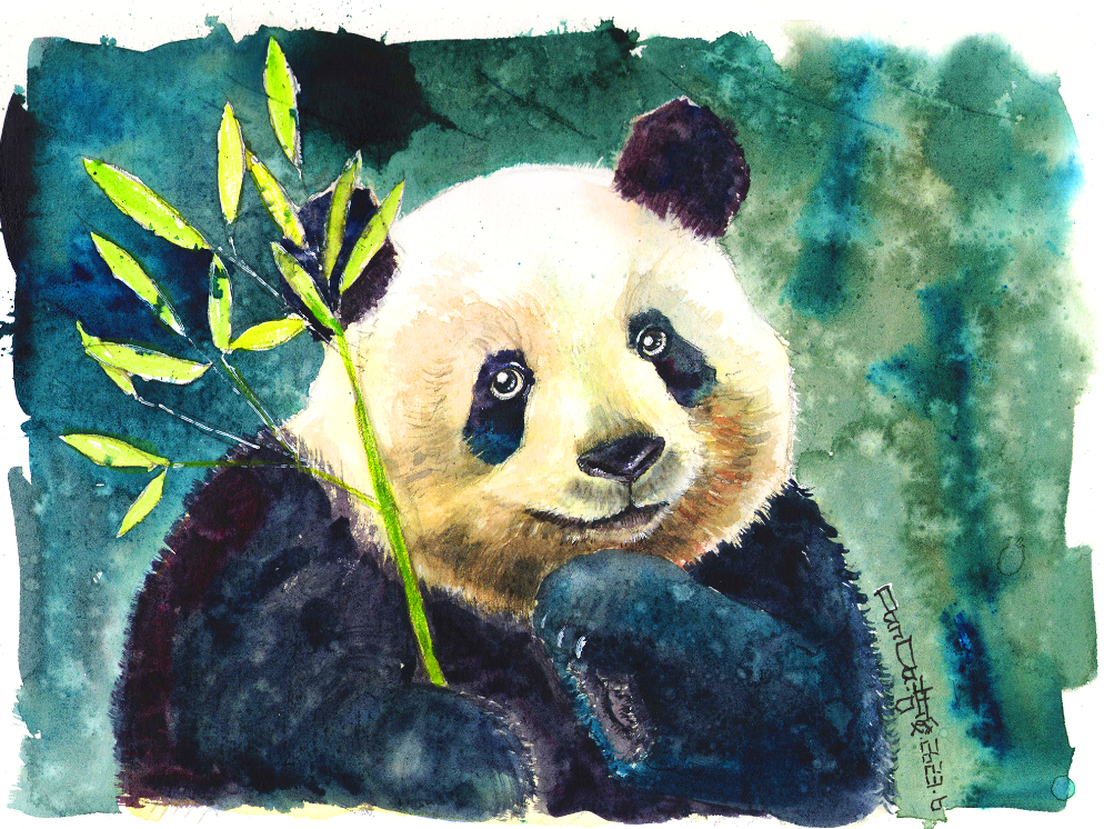 熊猫水彩|萌兰的微笑_Panda浩俊-站酷ZCOOL