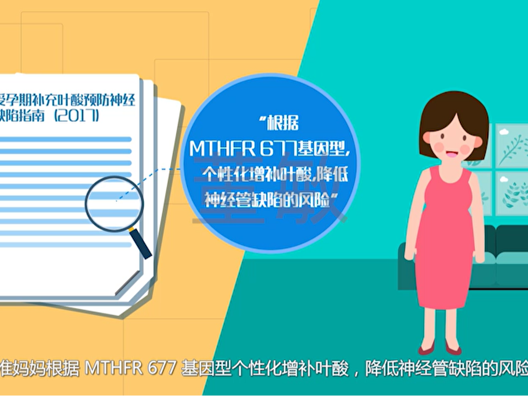 科普类MG动画制作_设计师董敏Mina-站酷ZCOOL