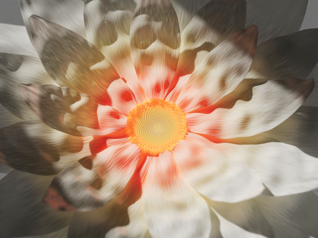 C4D_fafa_XIE_JIAHAO-站酷ZCOOL