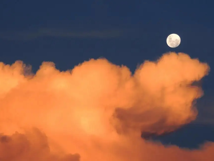 12_马可不要菠萝-站酷ZCOOL