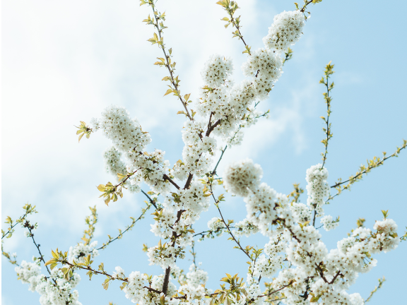 ChainOE日历（7月01-05日）_ChainOE-站酷ZCOOL