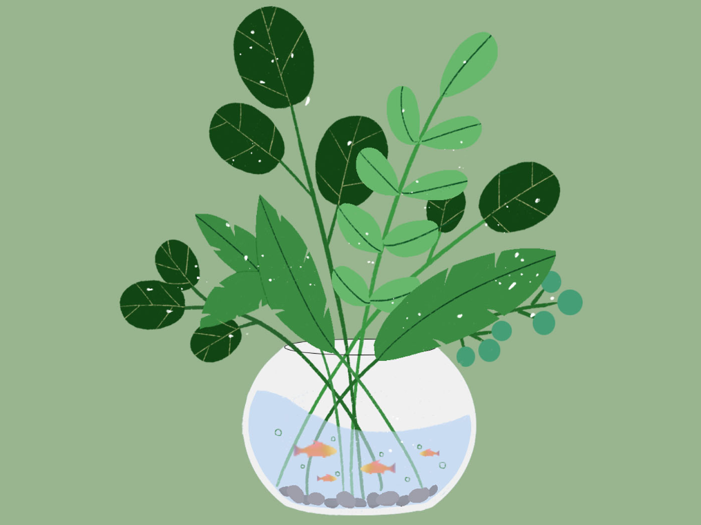 扁平风植物_小小雪snow-站酷ZCOOL