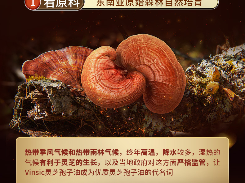 详情_huang杰-站酷ZCOOL