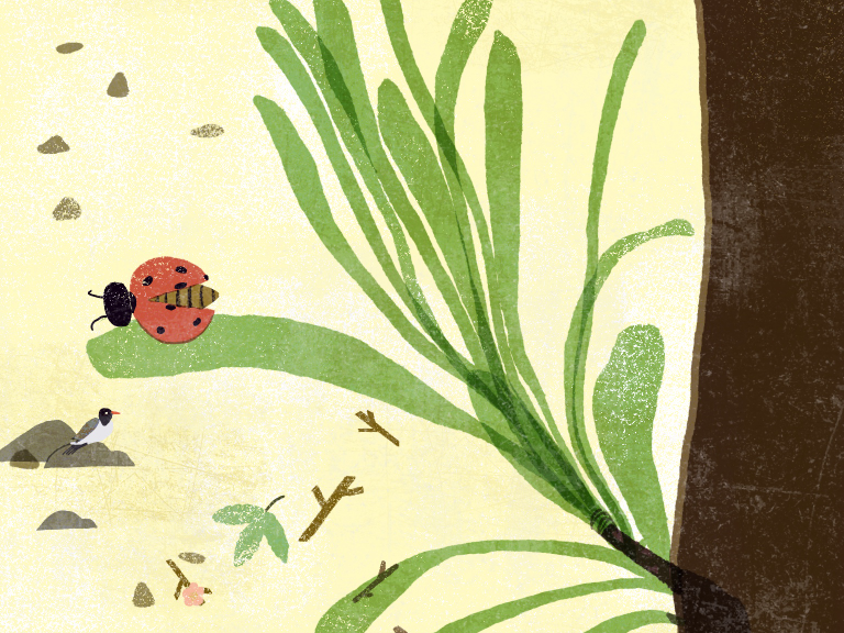 春天万物复苏，小可爱们被春天惊醒_Z86512767-站酷ZCOOL