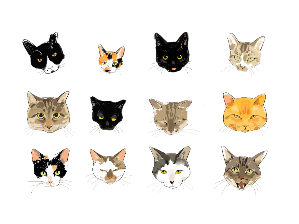 猫咪练习_nn焦-站酷ZCOOL