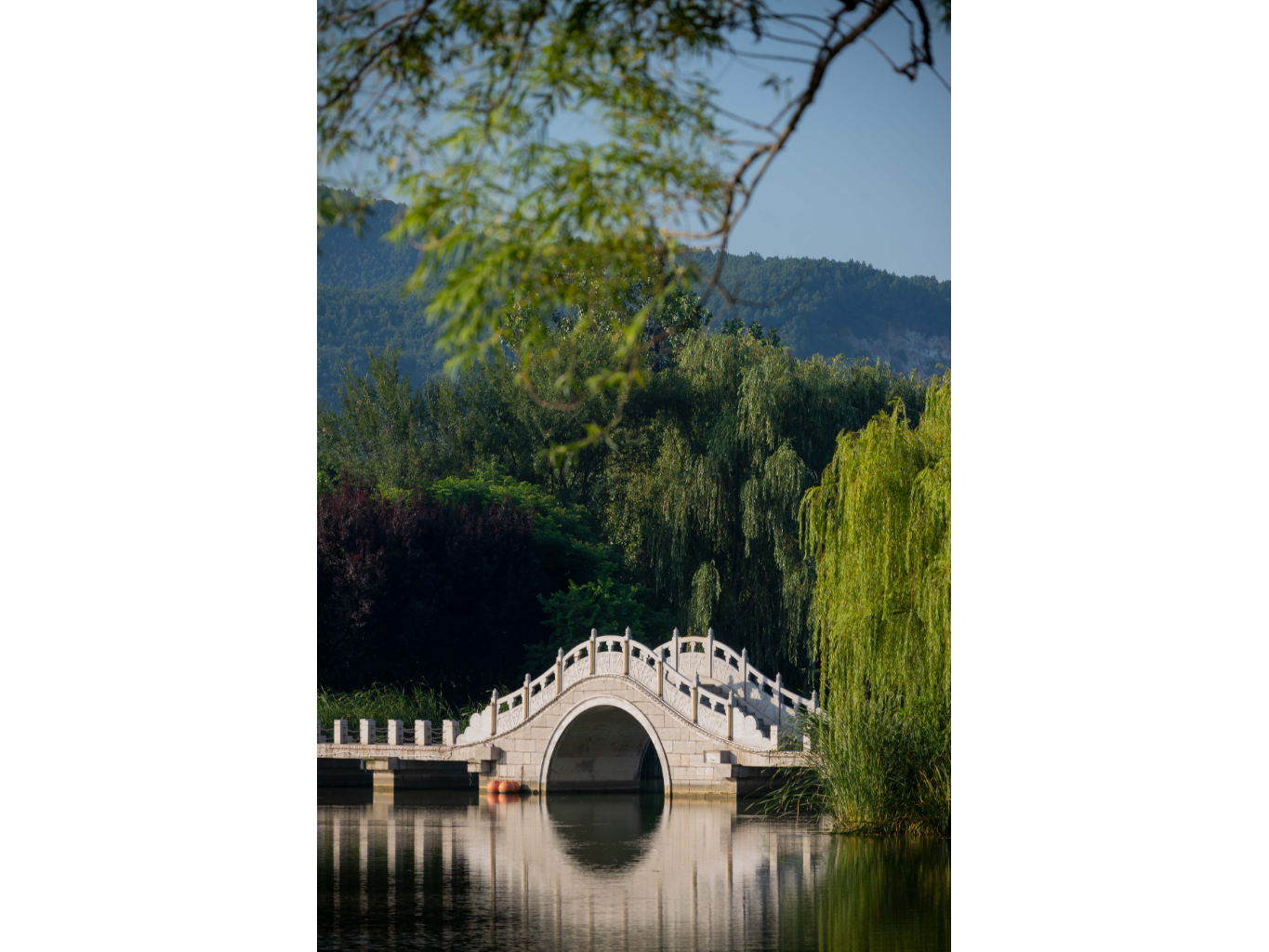 春天降临_KISENSS-站酷ZCOOL