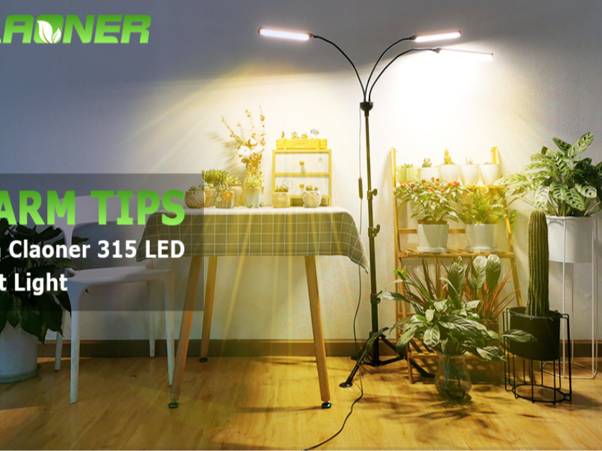 315植物灯视频_Ymm鱼米米-站酷ZCOOL