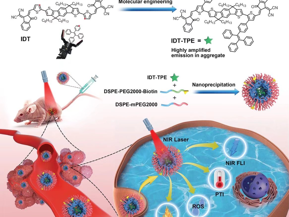 Small期刊论文插图_scihua-站酷ZCOOL