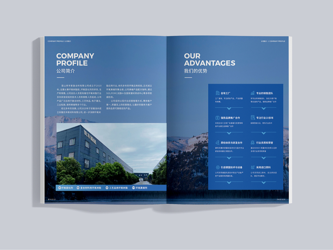 企业画册设计-美缝新材料_言色Yan-站酷ZCOOL