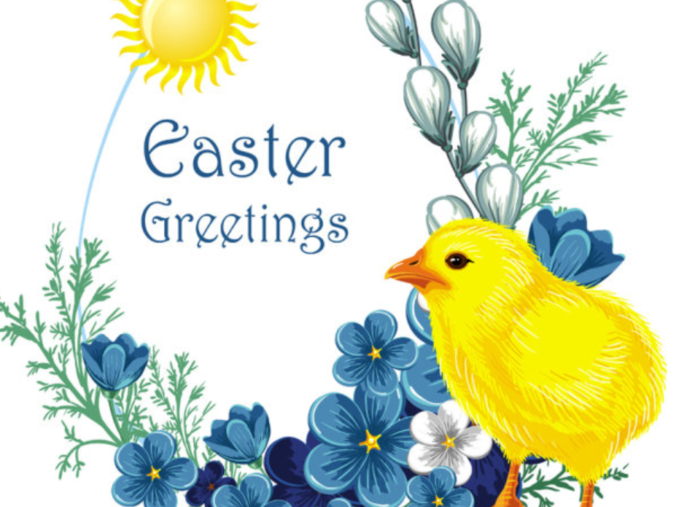 小鸡_古道风-站酷ZCOOL