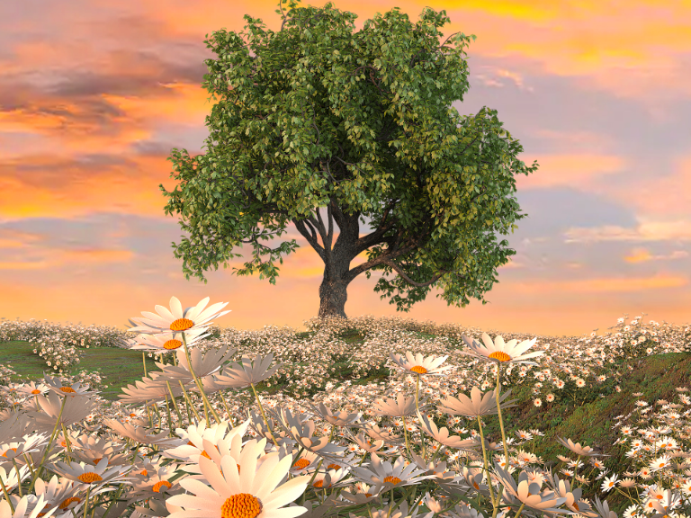 树_肘子HH-站酷ZCOOL