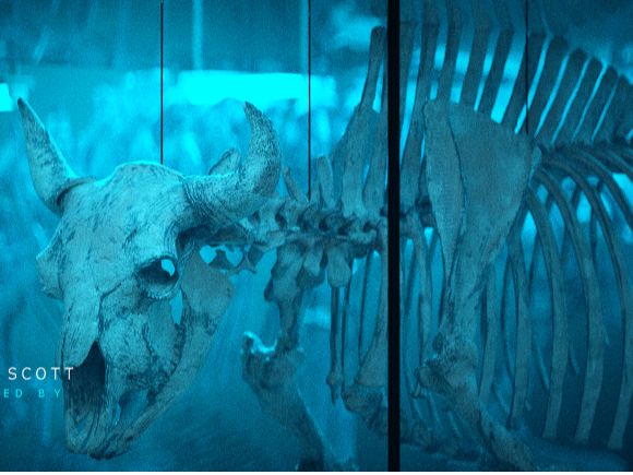 C4D+OCTANE日常渲染练习_是夏弥啊-站酷ZCOOL