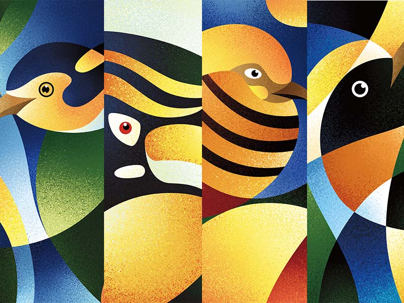 留住色彩-珍稀鸟类系列-珍稀动物_夕林XiLin_Wu-站酷ZCOOL