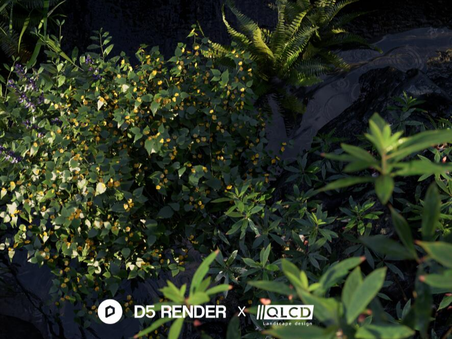D5渲染器-水生植物表现_景观设计_QLCD-站酷ZCOOL