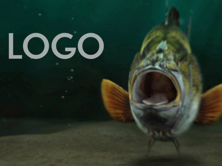 AE模板 | 海底凶猛生物动画LOGO标志介绍_猿文件网官方账号-站酷ZCOOL