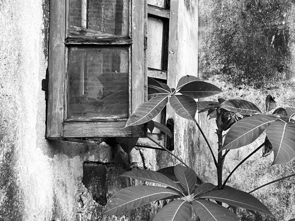 探窗_GxinL-站酷ZCOOL