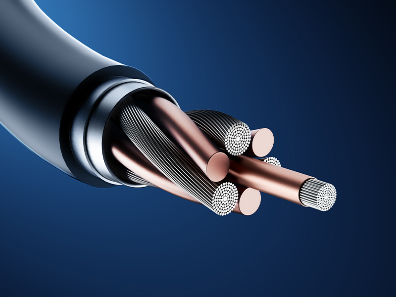 2022作品总结_zelz-站酷ZCOOL