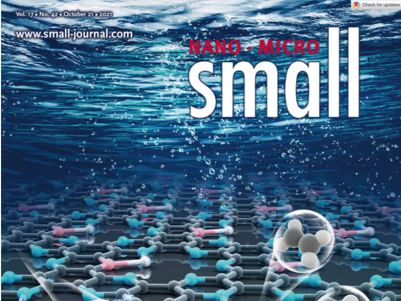 Small期刊封面图_scihua-站酷ZCOOL