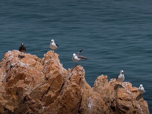 烟台之行（2）_zhao_c_l-站酷ZCOOL
