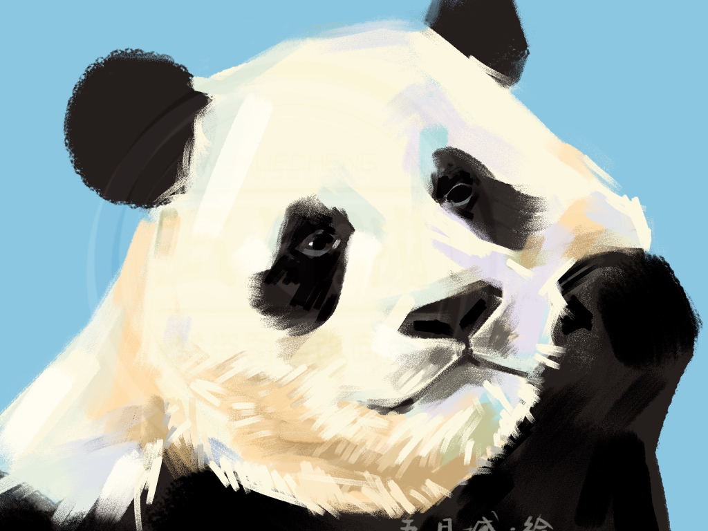 百变头像 Day9·_久壹向前冲-站酷ZCOOL