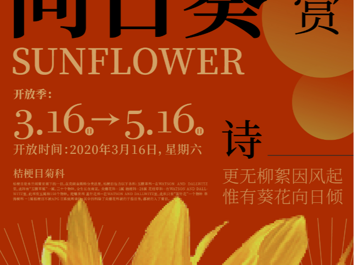 Day.07海报_Z182766799-站酷ZCOOL