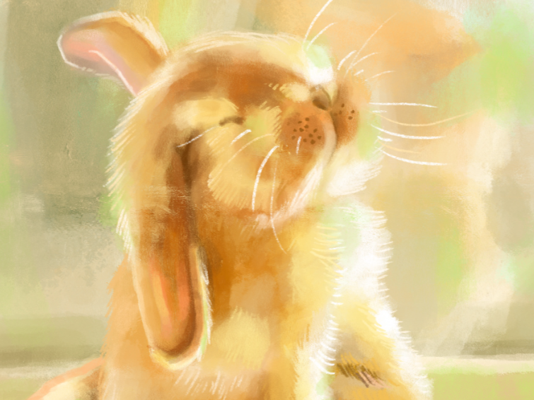 质感插画打卡D21-动物质感_蕙鹅-站酷ZCOOL