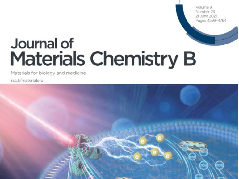JMCB期刊封面图_scihua-站酷ZCOOL