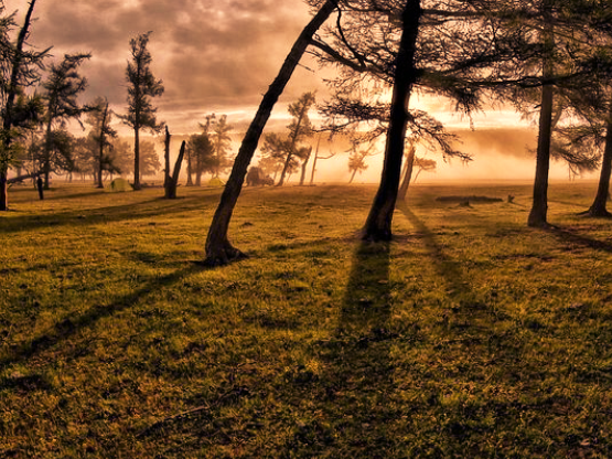 调色练习004_冷冻豆腐花-站酷ZCOOL