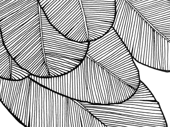 控笔-羽毛2_寻_xun-站酷ZCOOL