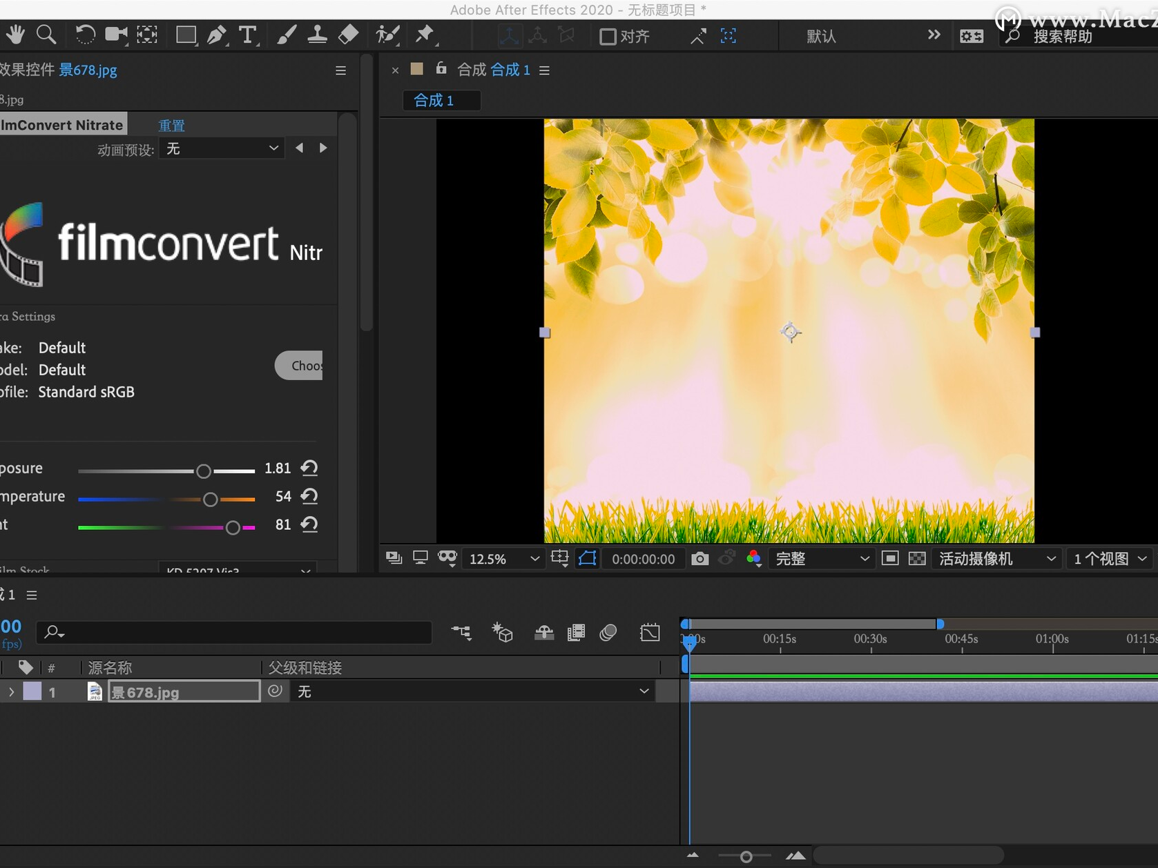 fcpx/胶片模拟调色Pr/AE插件：FilmConvert Nitrate_酷酷帅帅-站酷ZCOOL