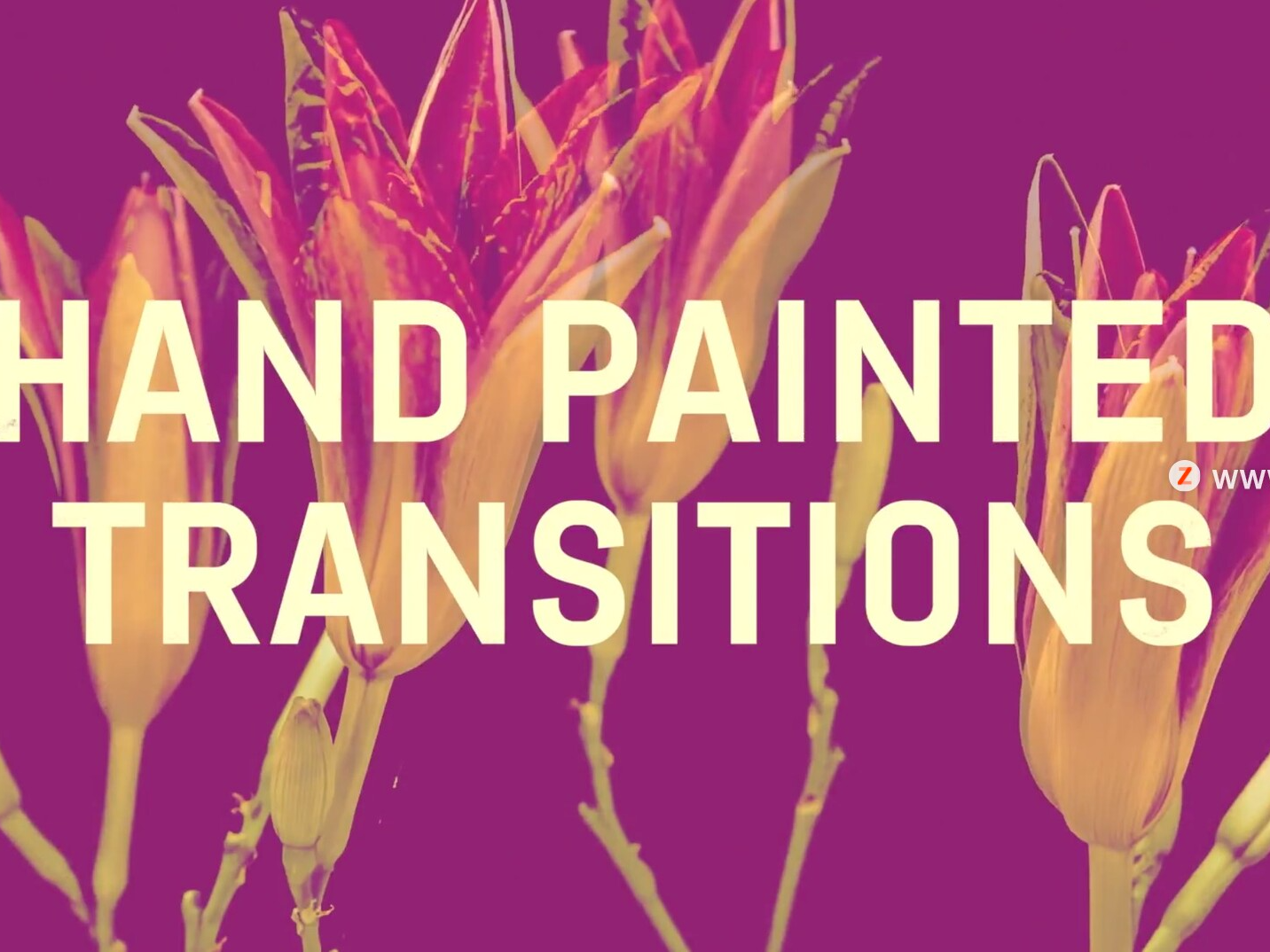手绘风格过渡效果 Zoetrope Painterly Transitions v1.0.1激活版_顽石宝玉-站酷ZCOOL