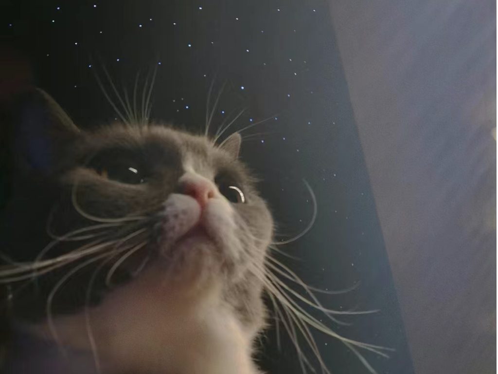 它看向森林的另一边_盐JANE-站酷ZCOOL