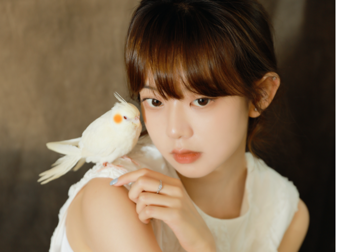 复古少女VS白子玄凤_栩Film-站酷ZCOOL